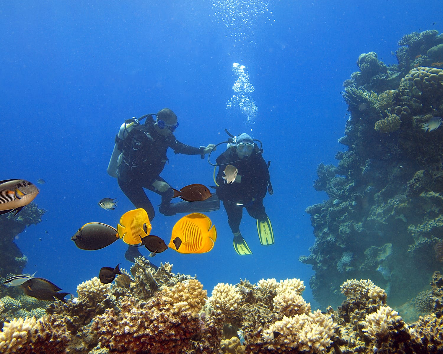 Scuba Diving | Dive In Marine Services - Kingdom of Bahrain